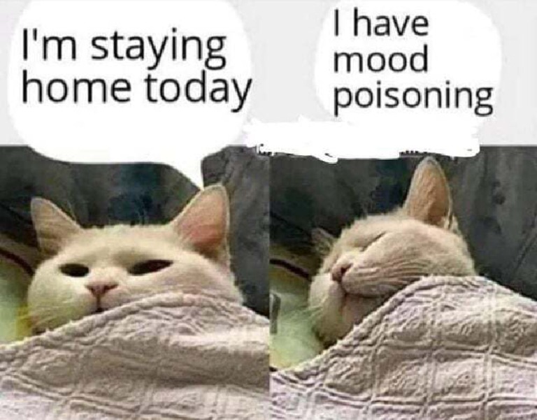 Mood Poisoning | PDF