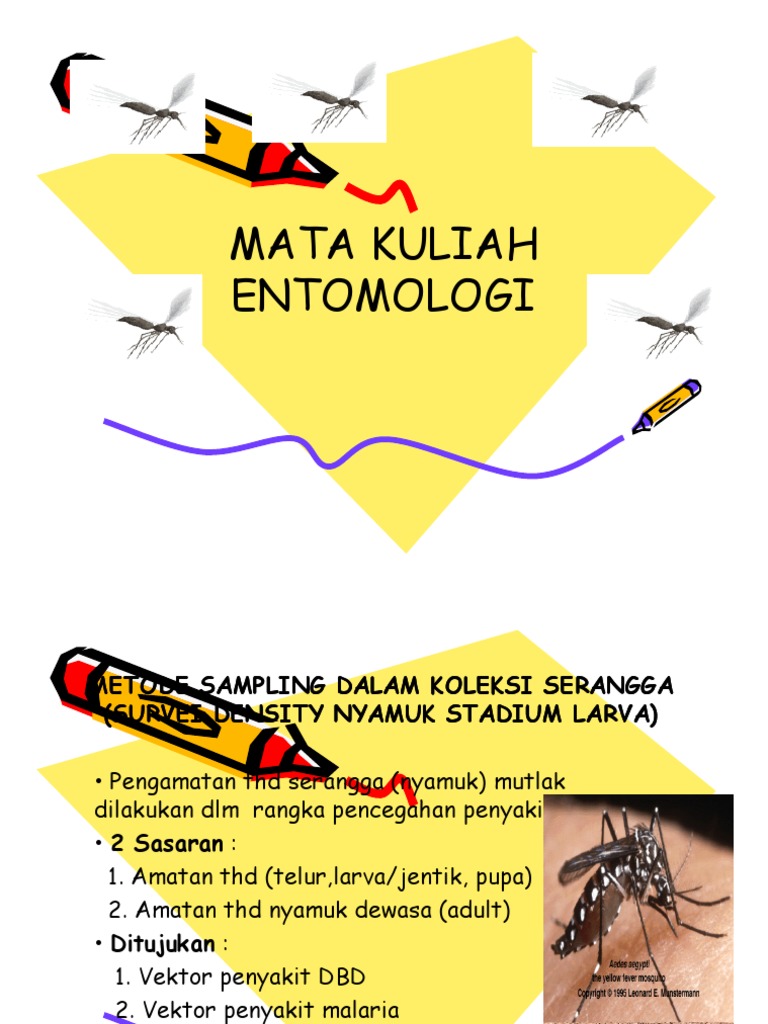 Metode Sampling Dalam Koleksi Serangga | PDF
