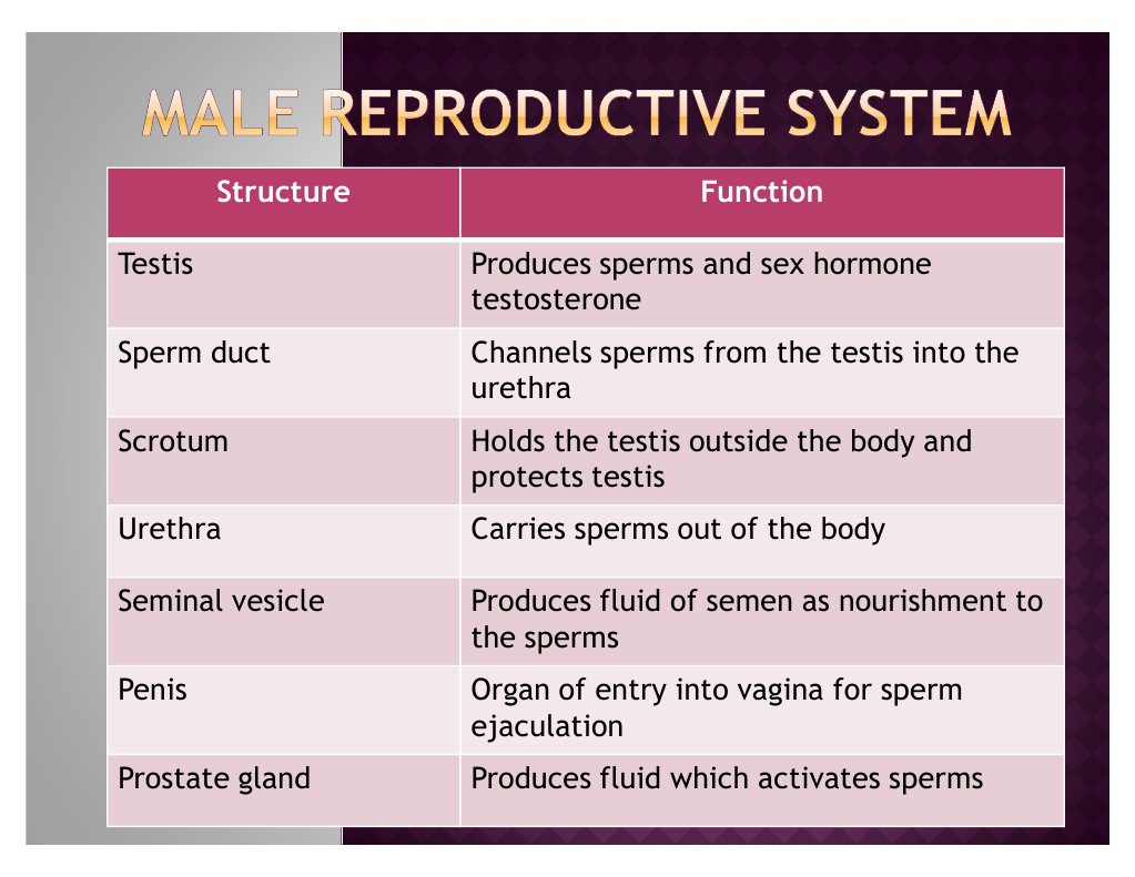 Encrypted Message Analysis | PDF
