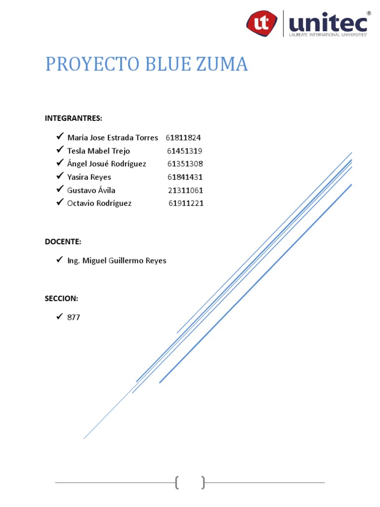 GRUPO1 Proyecto Blue Zuma | PDF | Diseño | Business