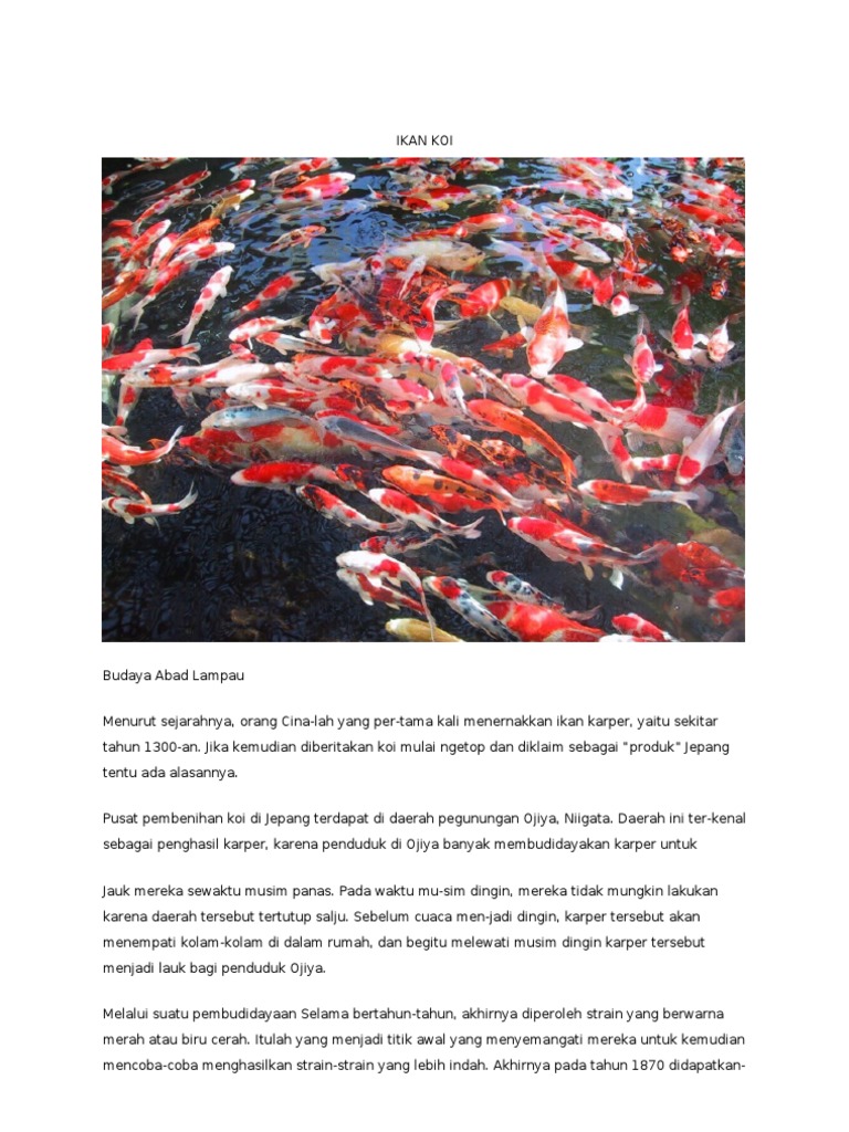 Ikan Koi | PDF