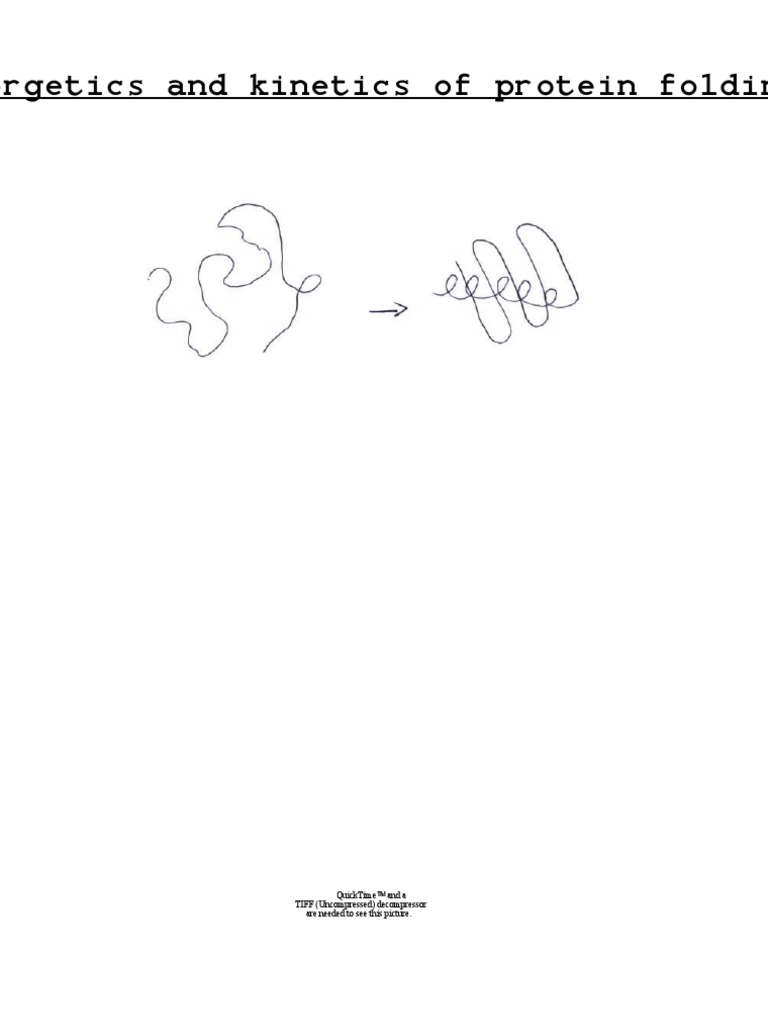 Energetics and Kinetics of Protein Folding | PDF | Protein Structure ...