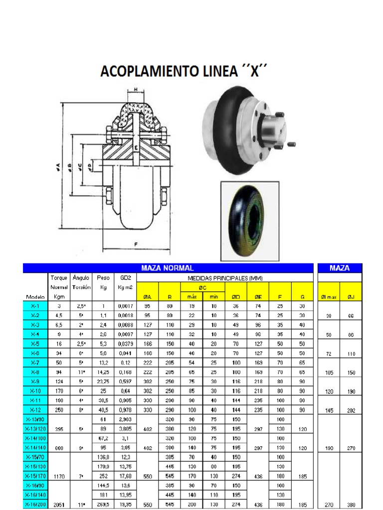 Ruadigon Modelo X 2 Motores Bombas Maquinas | PDF