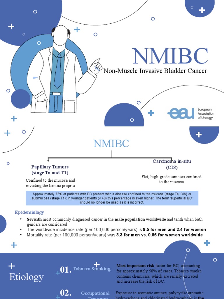 NMIBC Guide: Diagnosis and Management of Non-Muscle Invasive Bladder ...