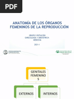 Anatomía de la Vagina y Vulva | PDF | Vagina | Ginecología