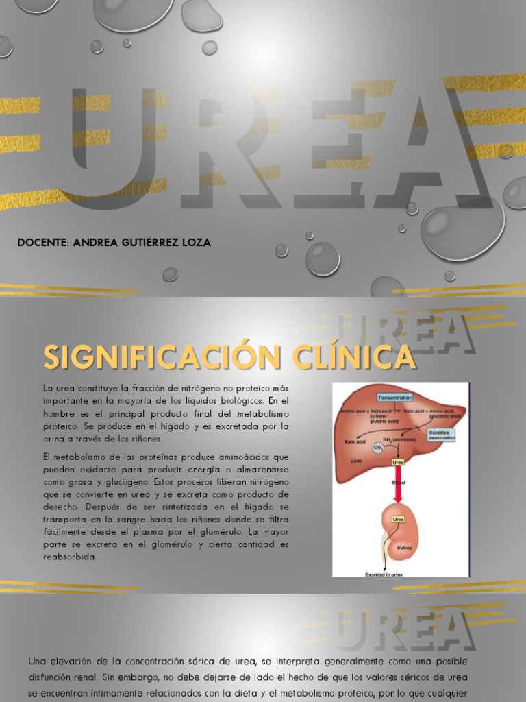 Determinación de Urea | PDF | Proteínas | Metabolismo