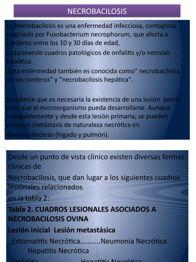 NECROBACILOSIS | PDF | Oveja | Hepatitis