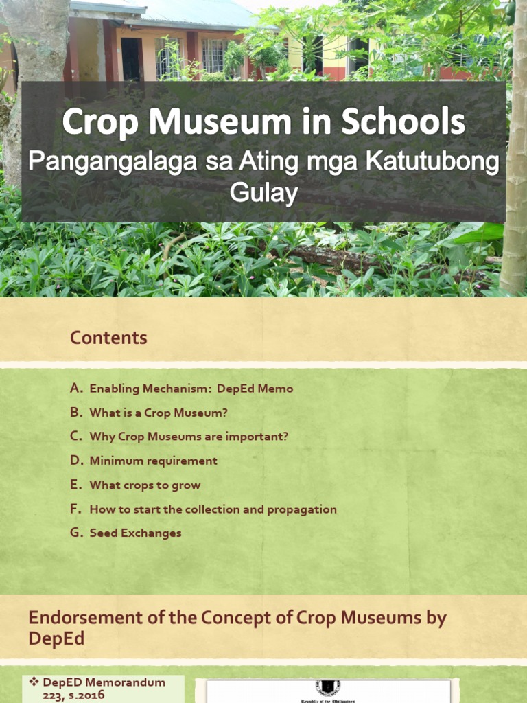 4.conserving Agro-Biodiversity Through Crop Museums - V2. | PDF ...