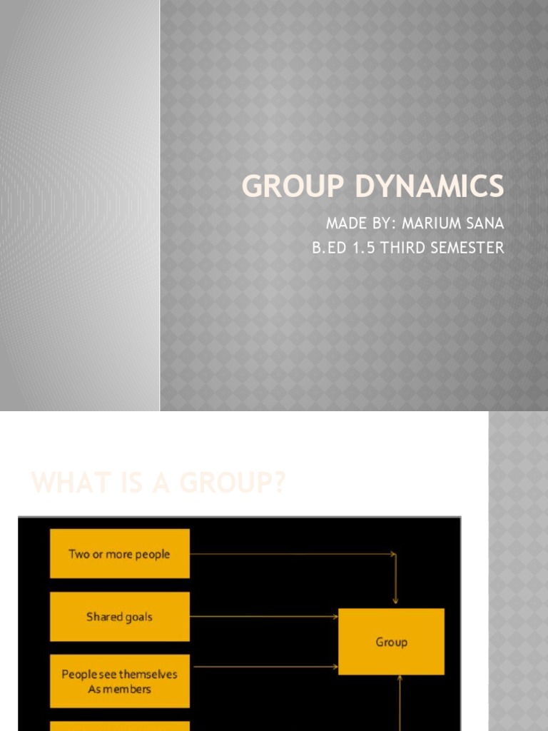 Group Dynamics | PDF
