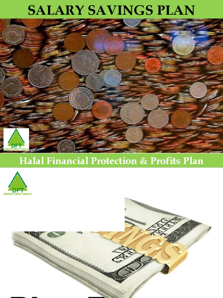 Salary Savings Plan Presentation PDF Salary Personal Finance