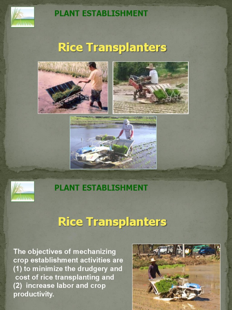 Rice Transplanter Parts and Functions | PDF | Clutch | Machines
