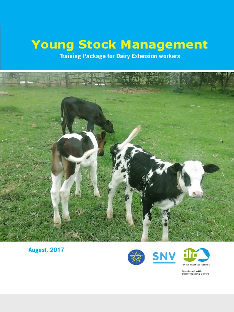 Young Stock Management Training Manual and Guideline | PDF | Calf ...