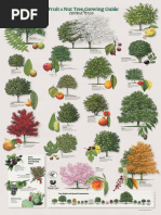 Tree Identification Cards | PDF | Flora | Trees