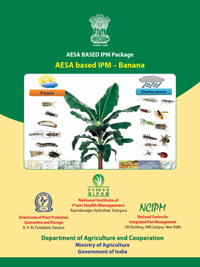 Aesa Based Ipm Package | PDF | Pest (Organism) | Pest Control