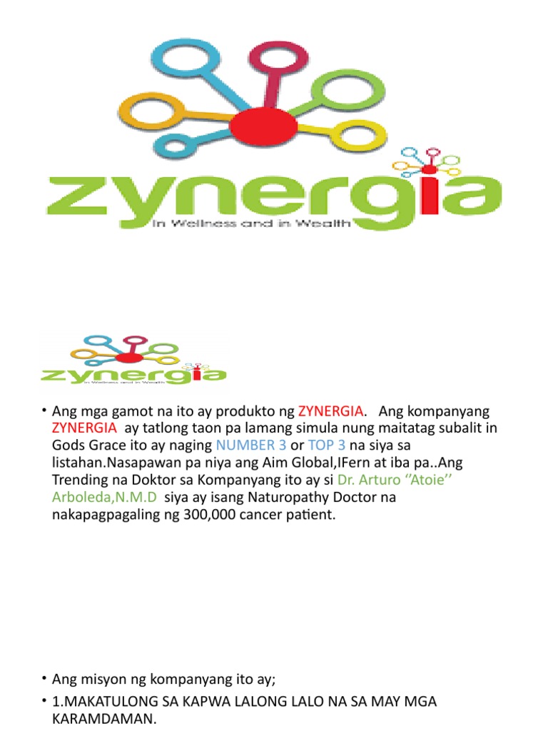 Zynergia Presentation | PDF