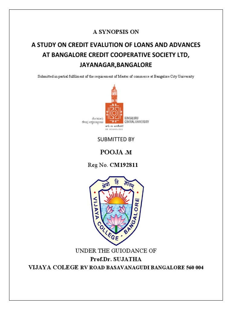 Pooja Synopsis Mcom | PDF | Banks | Loans