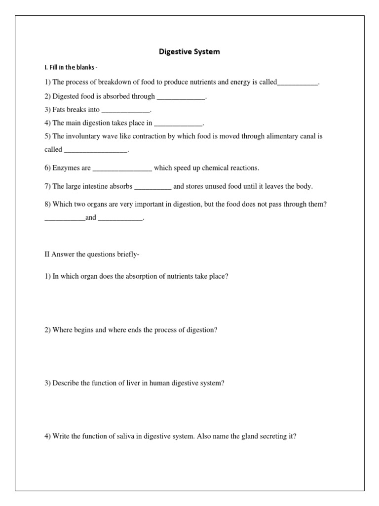 Digestive System: I. Fill in The Blanks | PDF