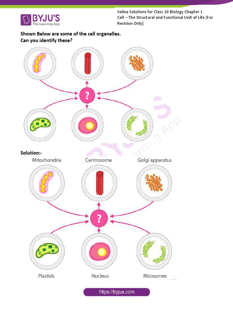 Selina Solutions For Class 10 Biology Chapter 1 Cell The Structural and ...