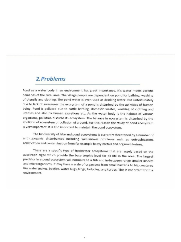 Investigatory Project - Pond Ecosystem | PDF
