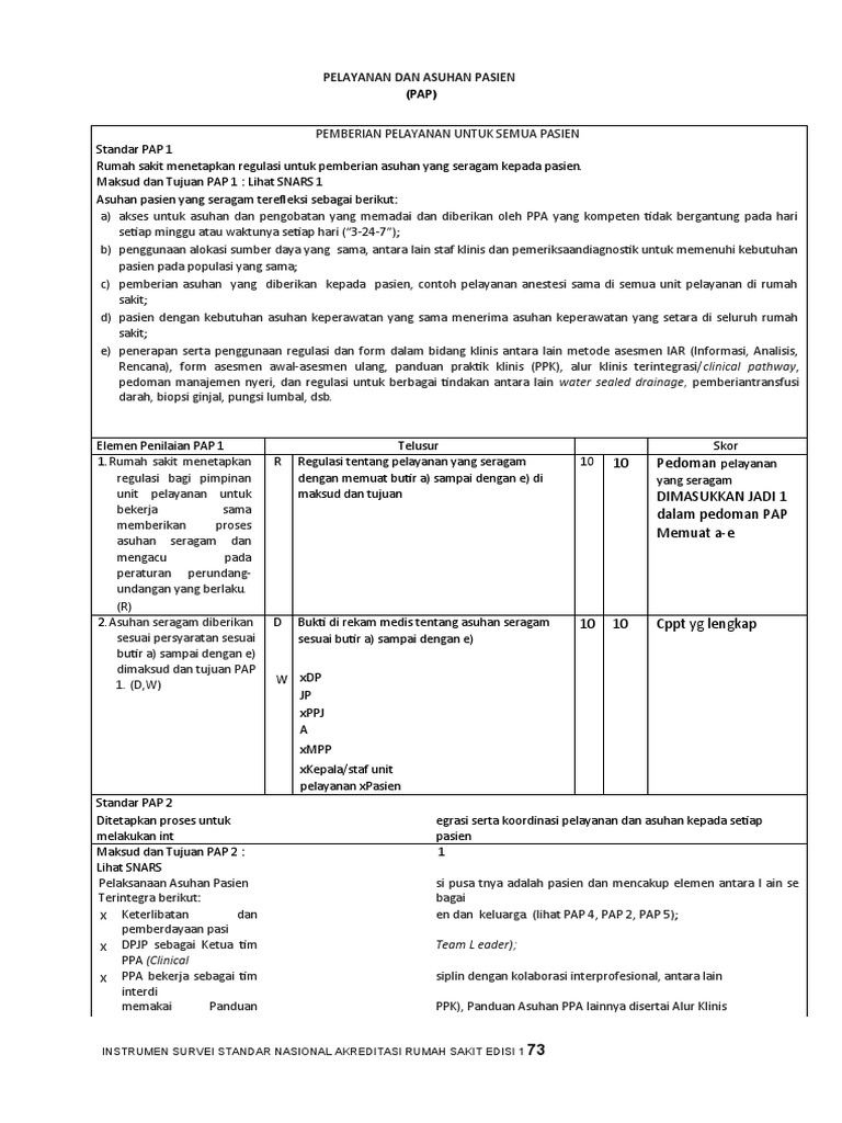 Instrumen Snars Pap | PDF