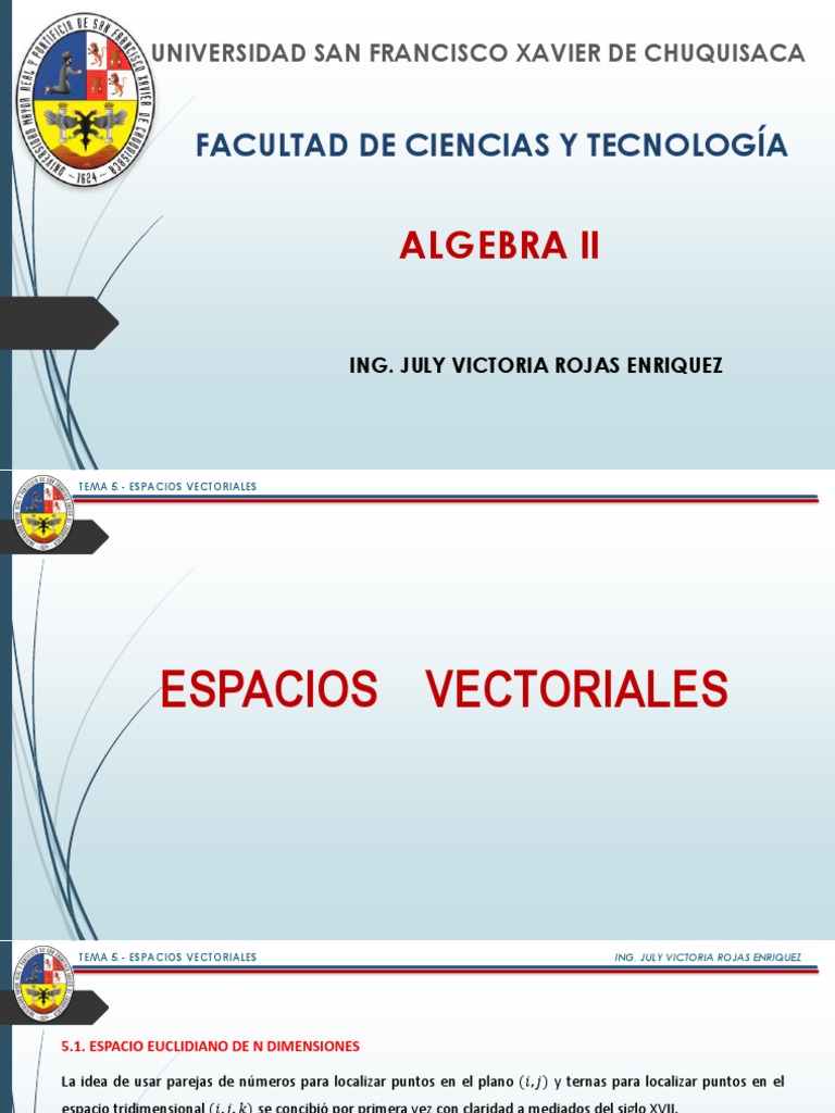 Espacios Vectoriales | PDF | Espacio vectorial | Base (álgebra lineal)