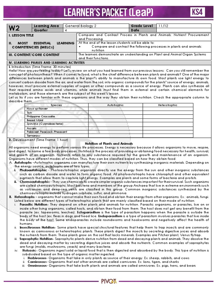 Q4 STEM General Biology 2 Week 2 | PDF | Digestion | Human Digestive System