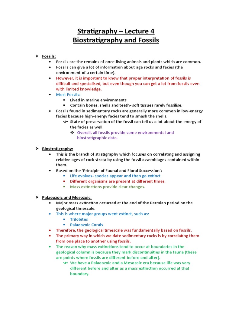 Stratigraphy (Biostratigraphy and Fossils) - Lecture 4 | PDF | Fossil ...
