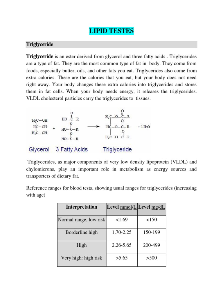 Biochemistry "Lipids Test" | PDF | Cholesterol | High Density Lipoprotein