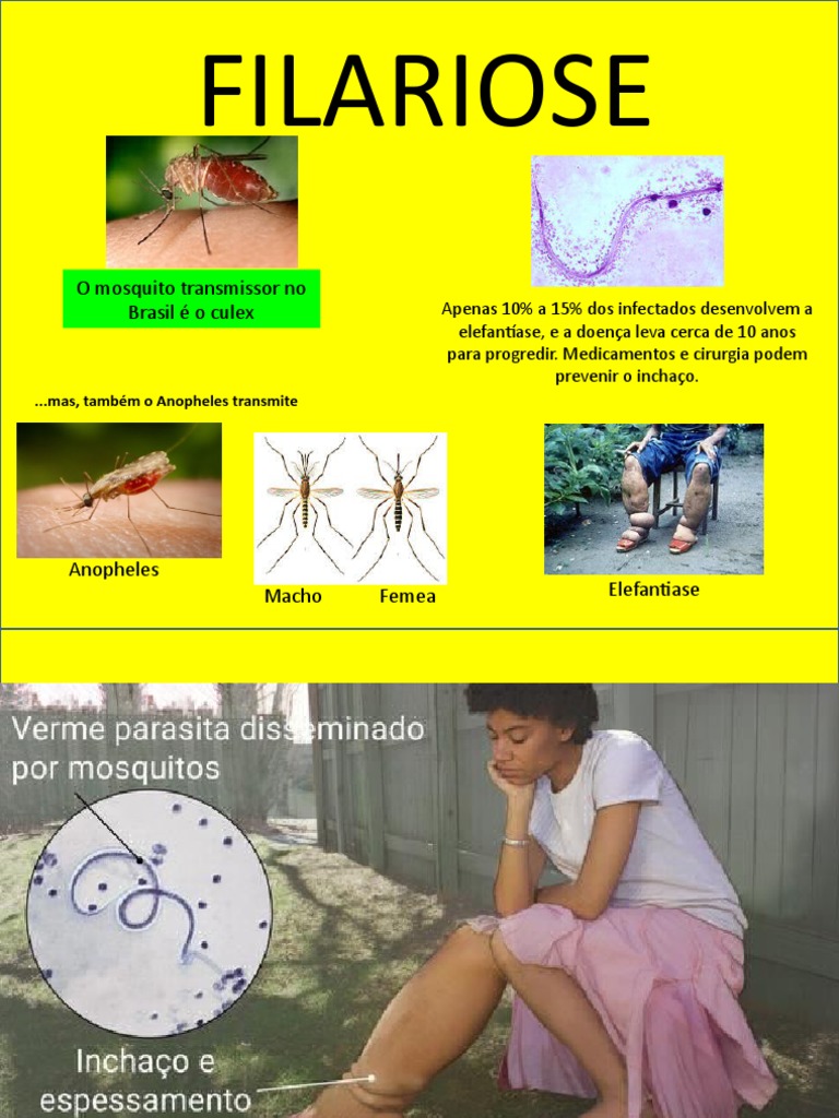 Filariose | PDF | Microbiologia | Medicina Clínica