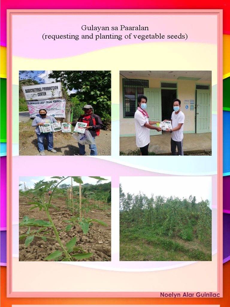 Gulayan Sa Paaralan (Requesting and Planting of Vegetable Seeds) | PDF ...