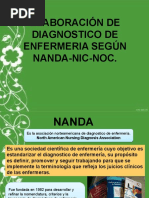 Manejo Del Nanda Nic Noc | PDF