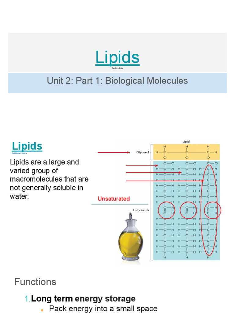 Lipids: Unit 2: Part 1: Biological Molecules | PDF | Fat | Fatty Acid