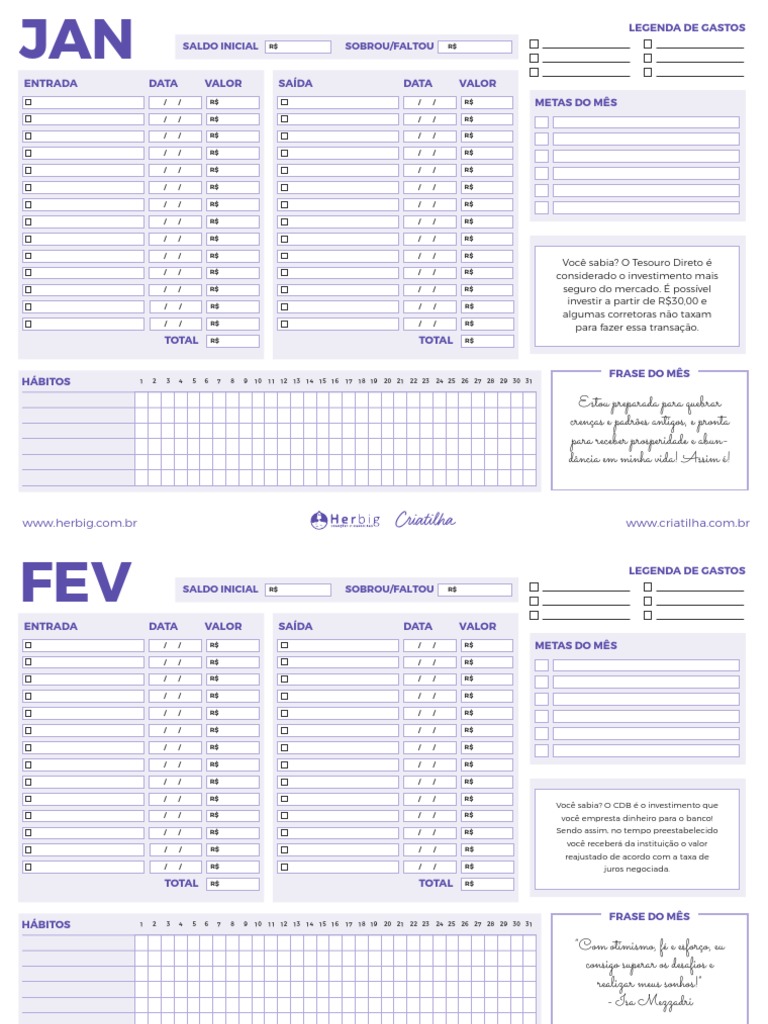 Planner Financeiro | PDF | Dinheiro | Economias