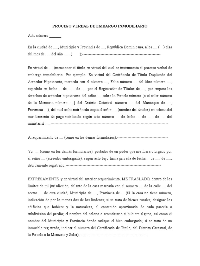 Proceso Verbal de Embargo Inmobiliario | PDF | Ley Pública | Gobierno