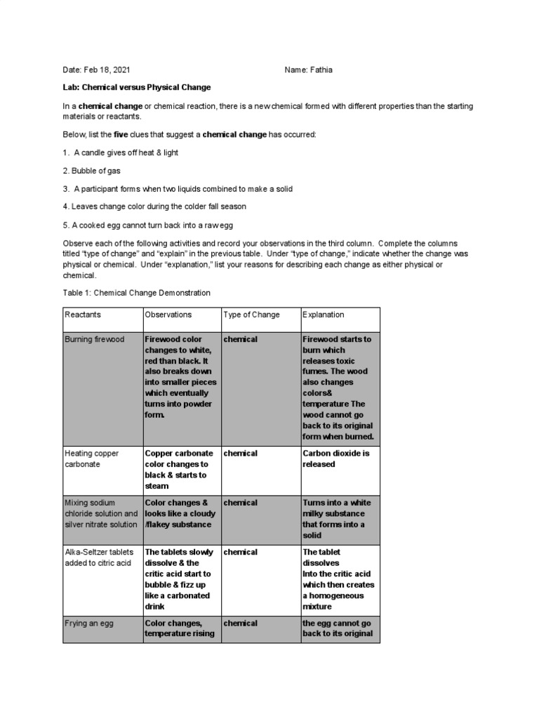 Chemistry Lab: Changes Explained | PDF | Chemical Substances | Ice