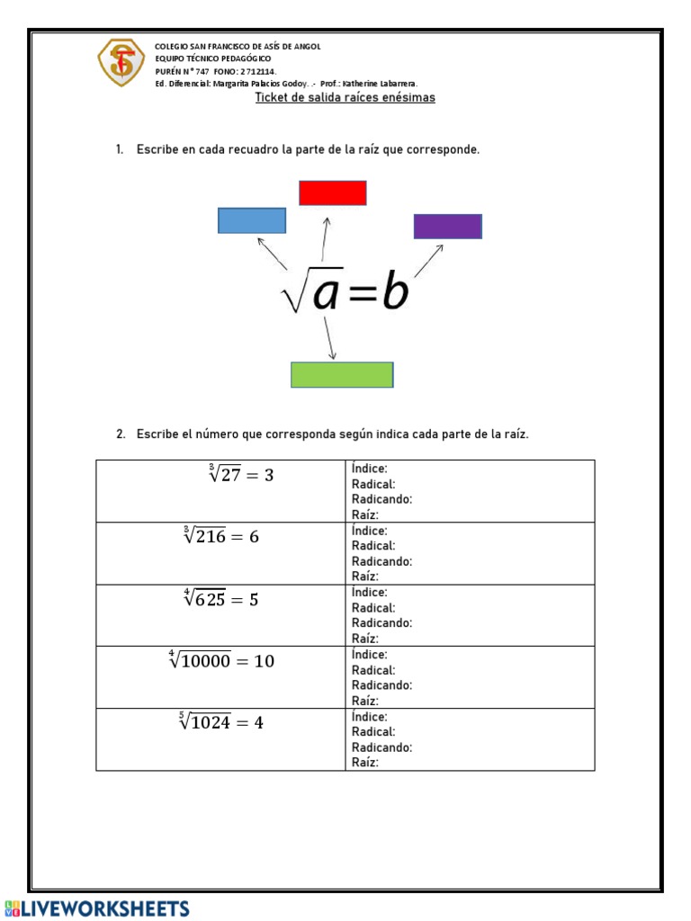 Partes de La Raiz | PDF