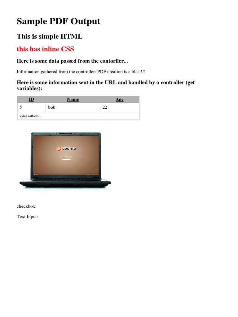 Sample PDF Output: This Has Inline CSS | PDF | Business | Computers