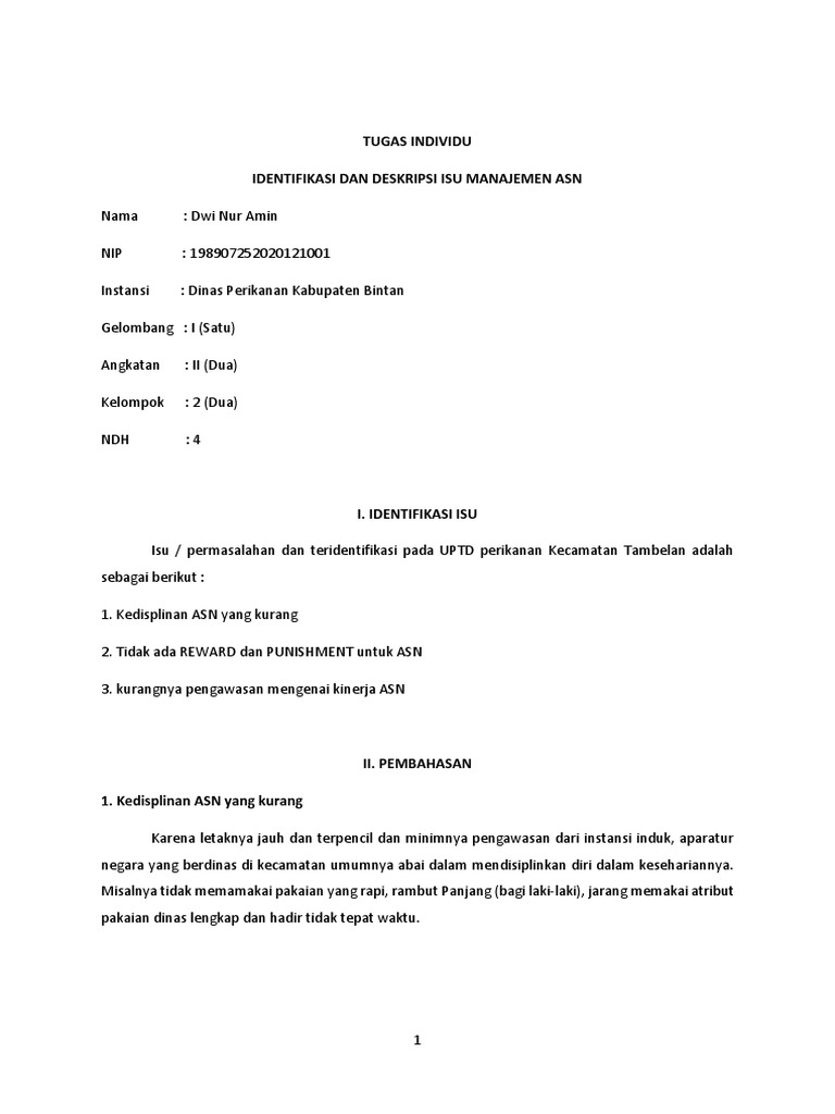 Contoh Isu Manajemen Asn | PDF