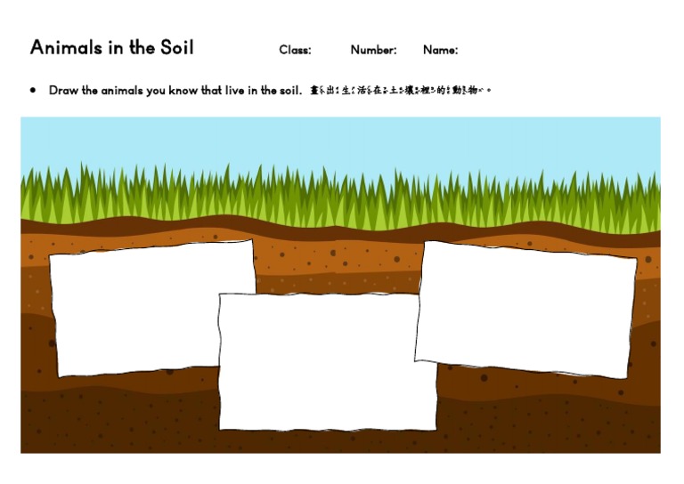 Soil-Dwelling Animals Guide | PDF | Home & Garden | Science & Mathematics