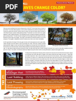 Fall Leaves Mini Book | PDF