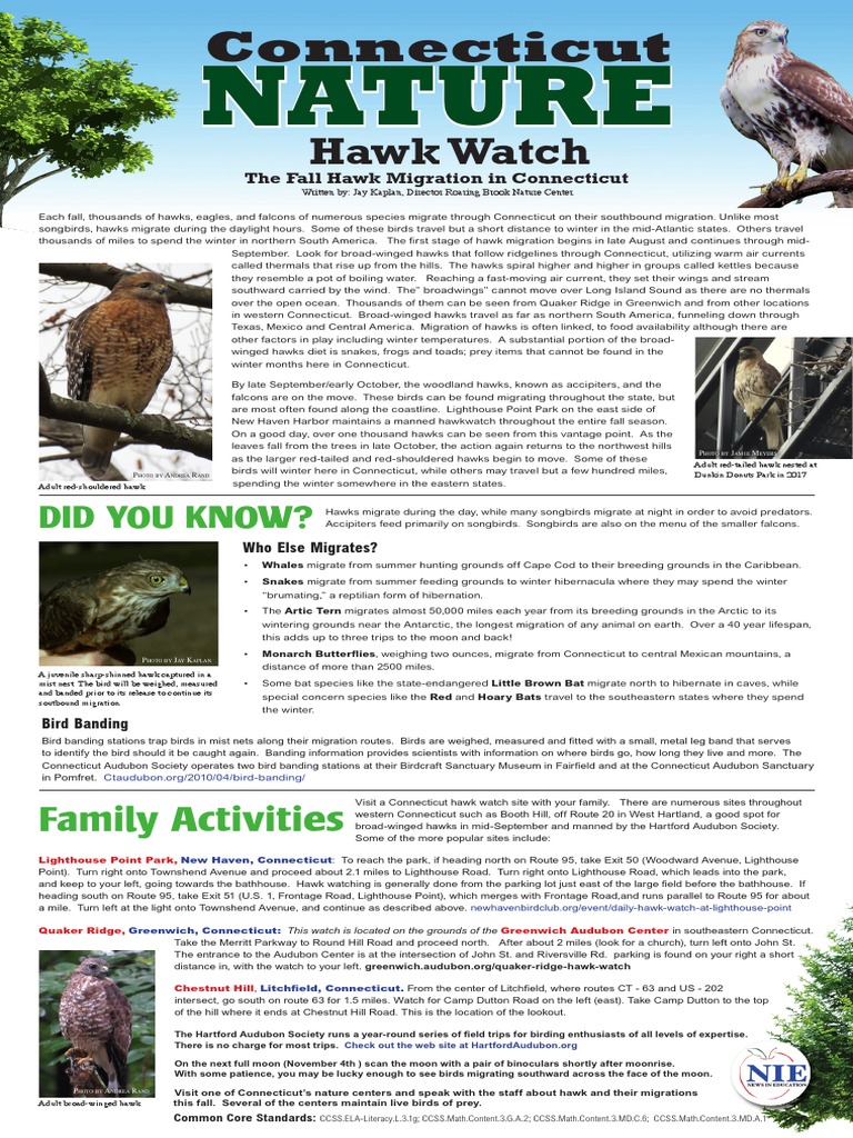 Hawk Watch | PDF | Bird Migration | Hawk