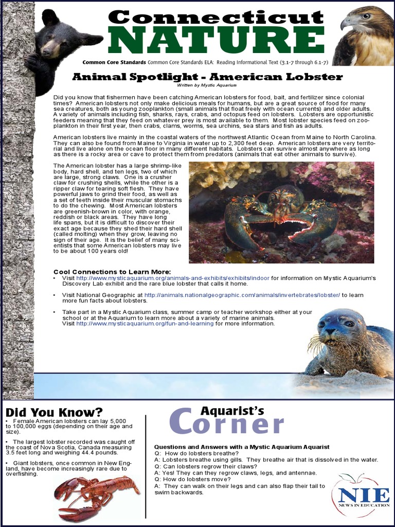 Lobster | PDF | Lobster | Predation