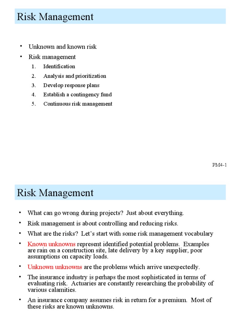 Project Risk Management Guide | PDF | Risk | Risk Management