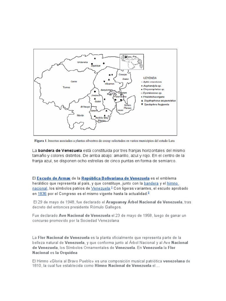 Estado Lara y Sus Municipios | PDF