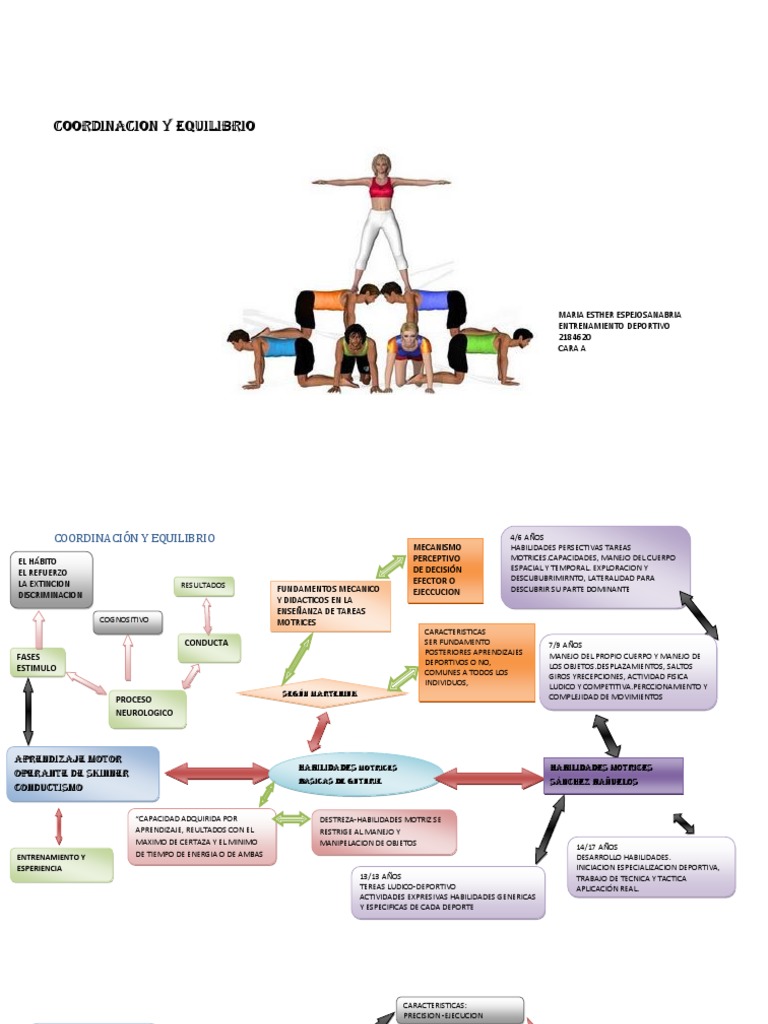 Cordinacion Y Equilibrio Pdf Coordinación Motriz Neurociencia