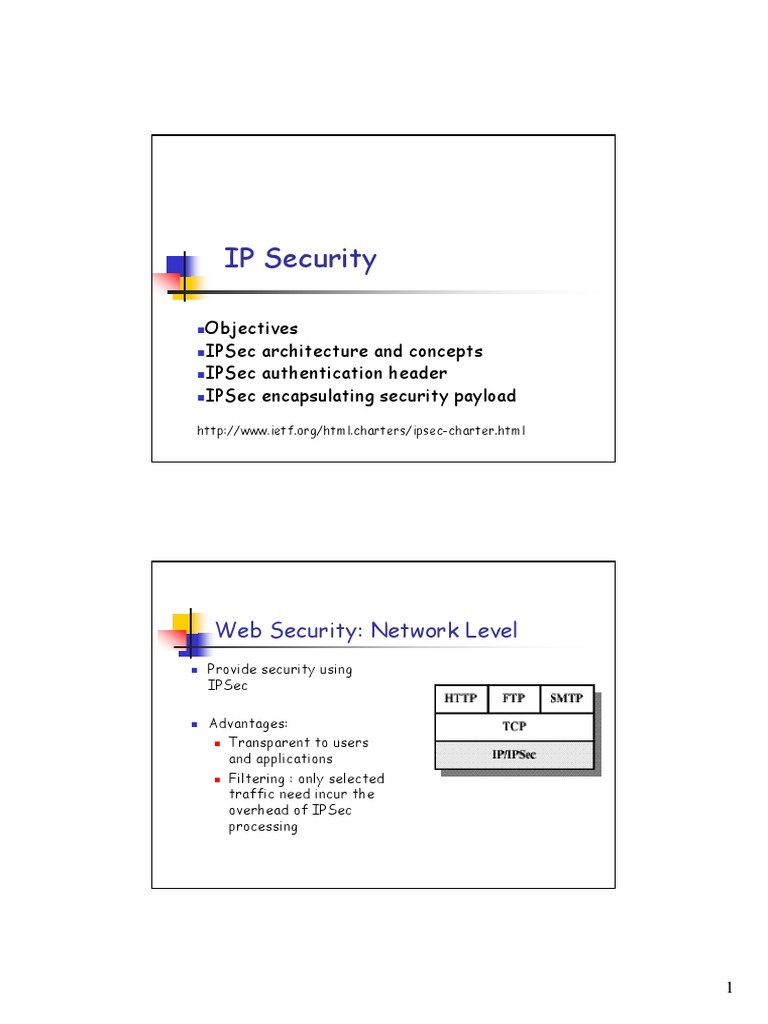IP Security: Web Security: Network Level | PDF | Internet Protocols | I Pv6