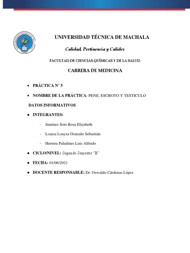 Anatomía y funciones del pene, escroto y testículos | PDF | Testículo ...