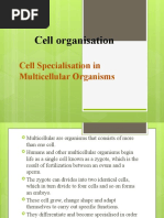 Specialised Animal Cells - Living Organisms - KS3 Biology - BBC ...