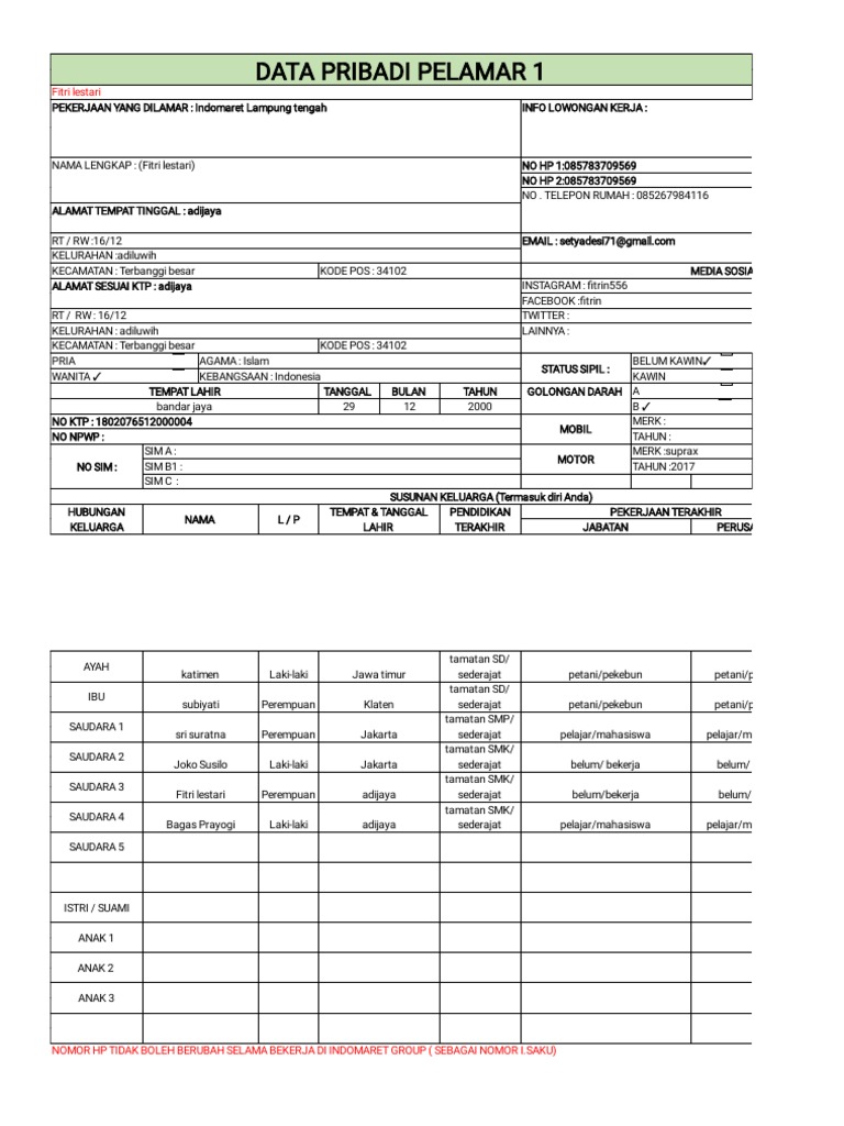 Data Pribadi Pelamar Tes Online | PDF