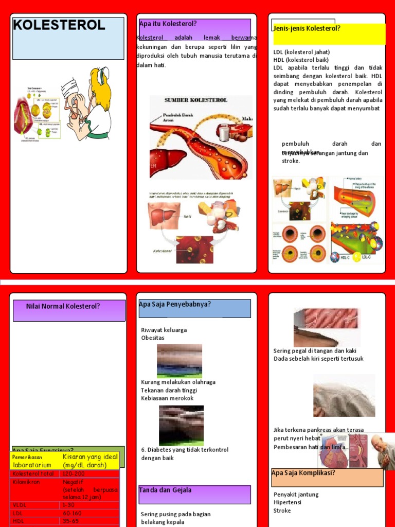 Leaflet Kolesterol | PDF